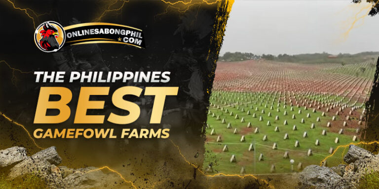 Top 10 game farms in the Philippines