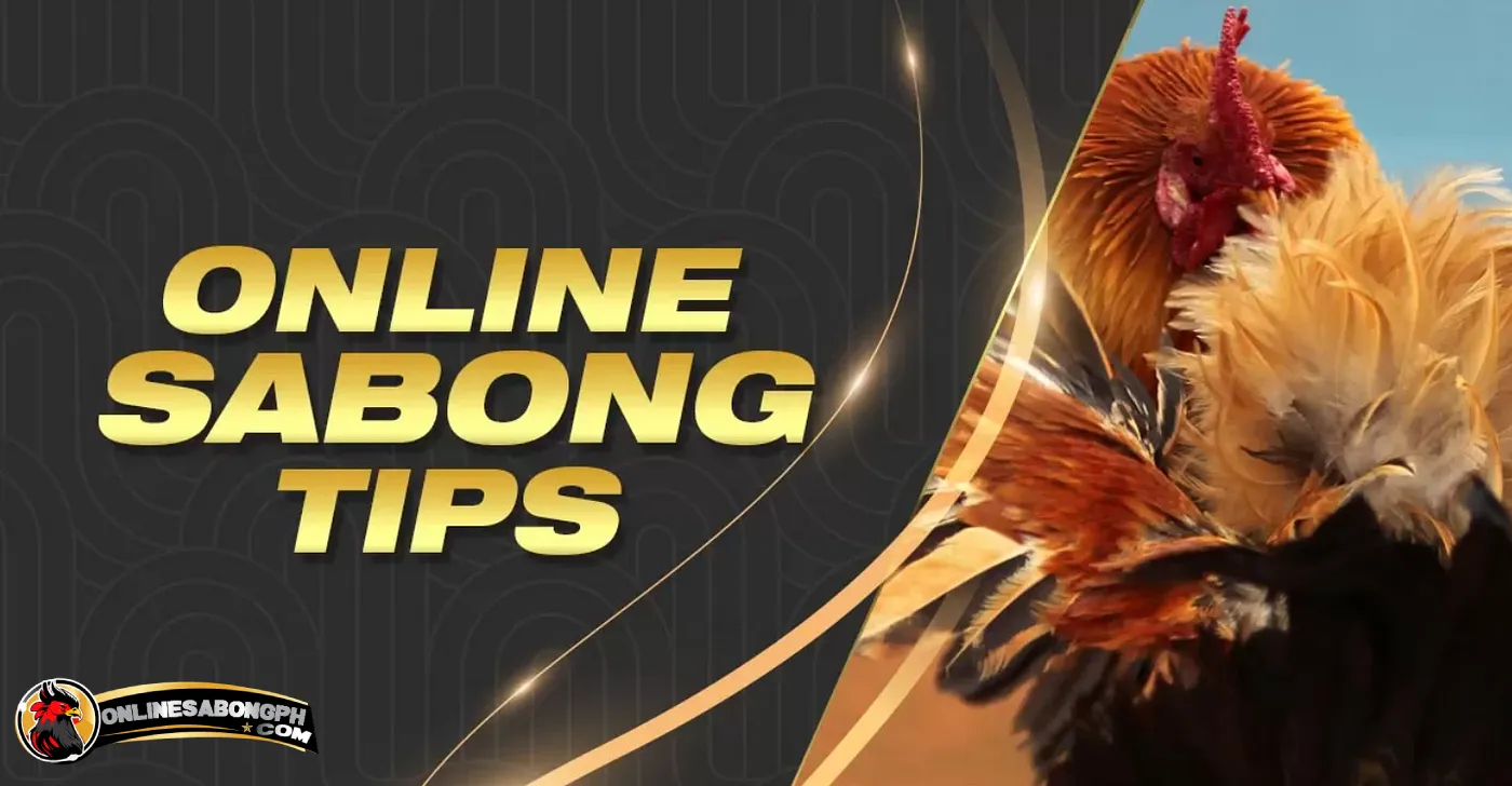 Online Sabong Tips 2024: Set Your Bet and Win